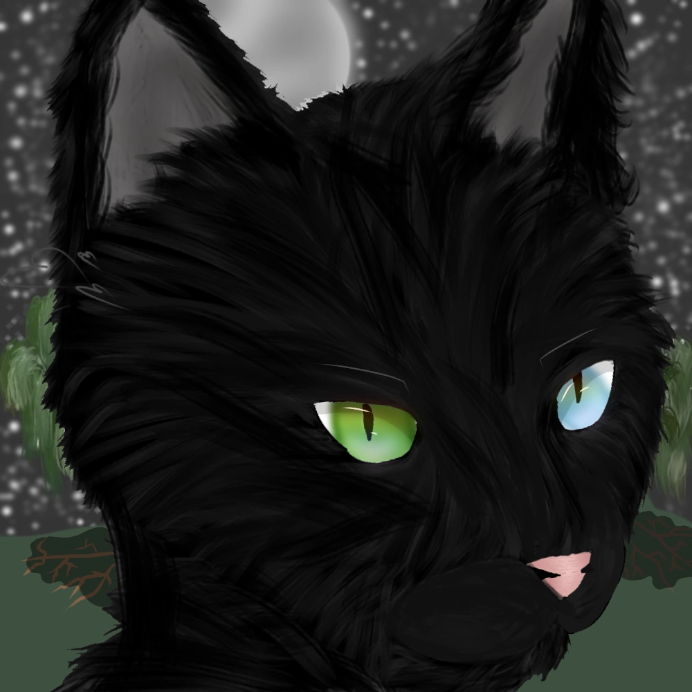 Rainbowkit (Rainbowshine) | BlogClan 2 Wikia | Fandom