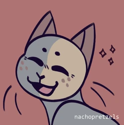 Dewpaw | BlogClan 2 Wikia | Fandom