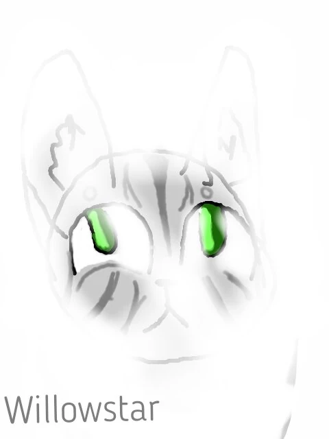 Willowstep | BlogClan 2 Wikia | Fandom