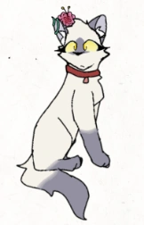 BlogClan Art Show | BlogClan 2 Wikia | Fandom