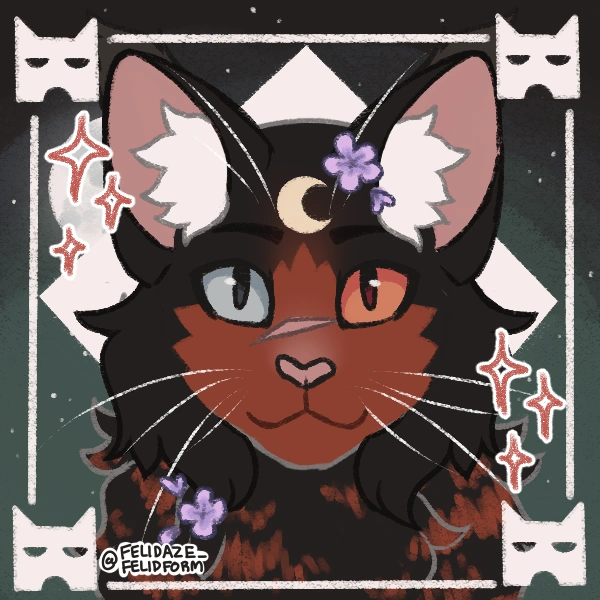 ⥼ Hollycinder ⥽ | BlogClan 2 Wikia | Fandom