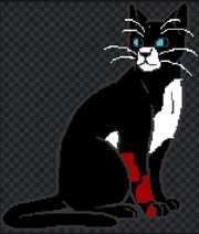 🐺😯Nightpaw🌕 | BlogClan 2 Wikia | Fandom