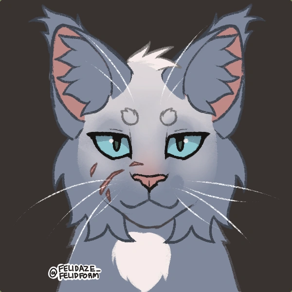 Skyshine ☾ | BlogClan 2 Wikia | Fandom