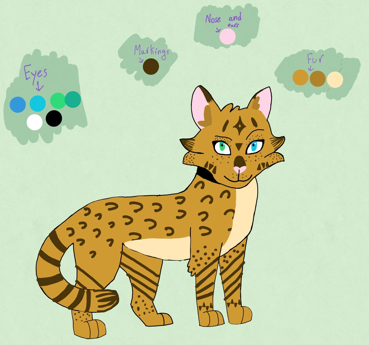 Duskpaw | BlogClan 2 Wikia | Fandom