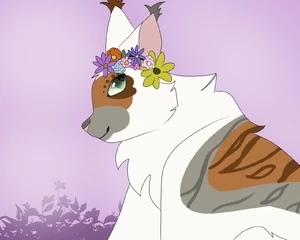 Mapledrift | BlogClan 2 Wikia | Fandom