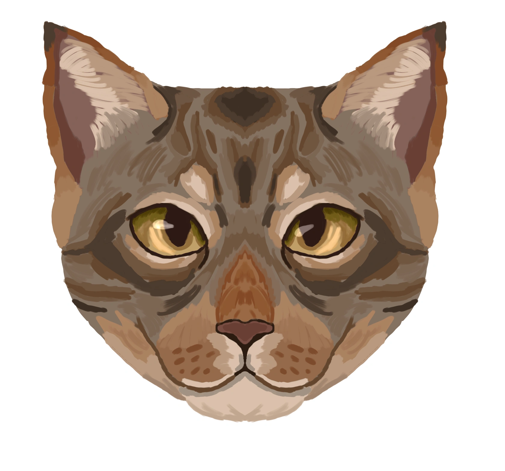 Discuss Everything About BlogClan 2 Wikia | Fandom