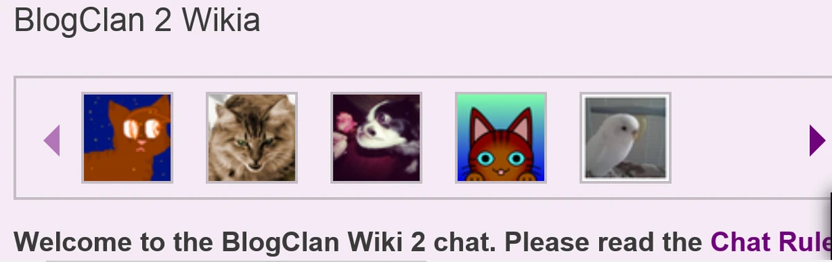 Wiki Chat | BlogClan 2 Wikia | Fandom