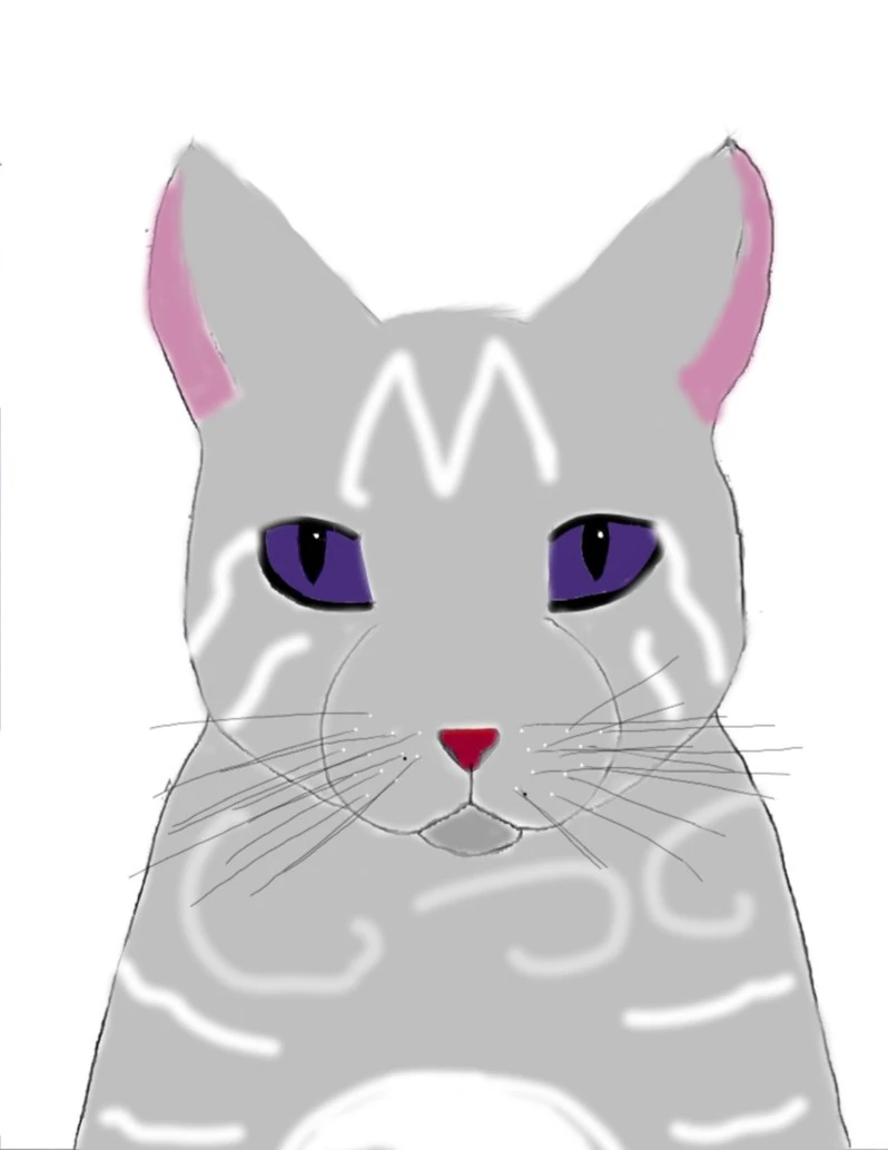 Starpaw (Starblossom) | BlogClan 2 Wikia | Fandom
