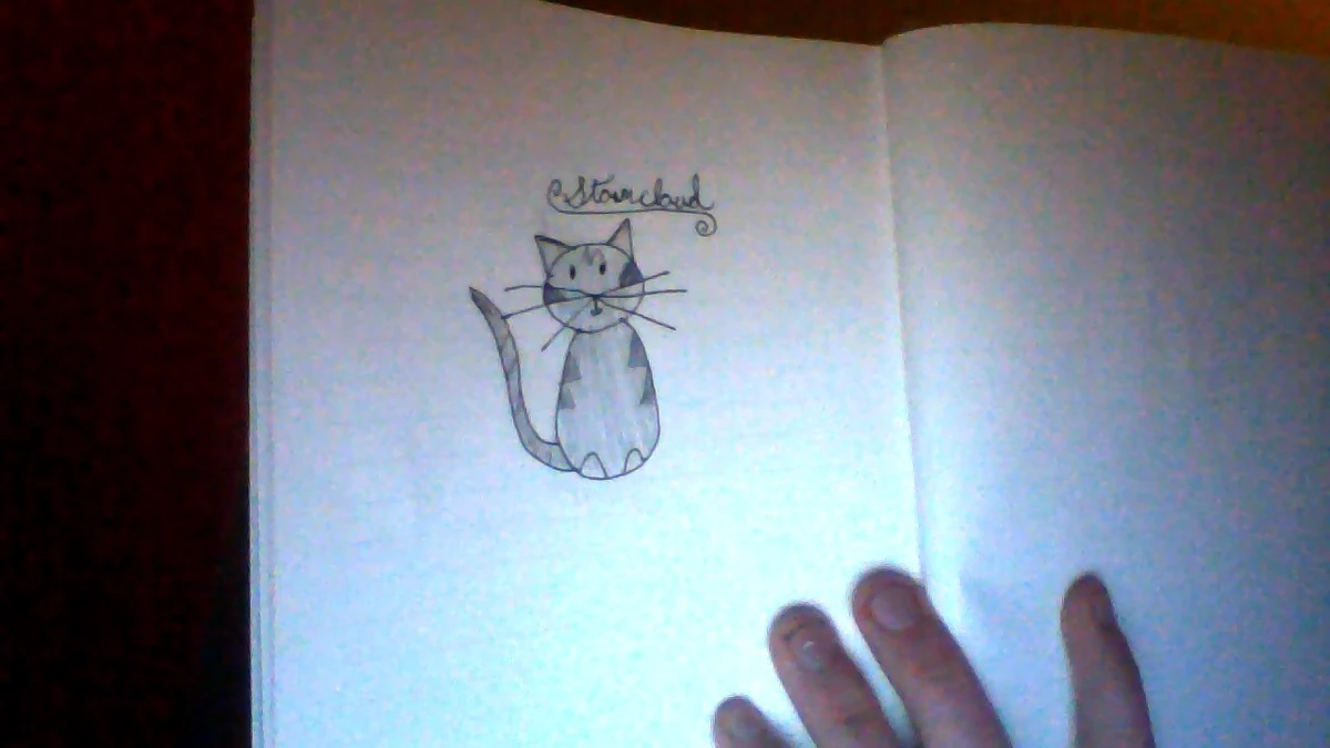 Stormcloud | BlogClan Wiki | Fandom