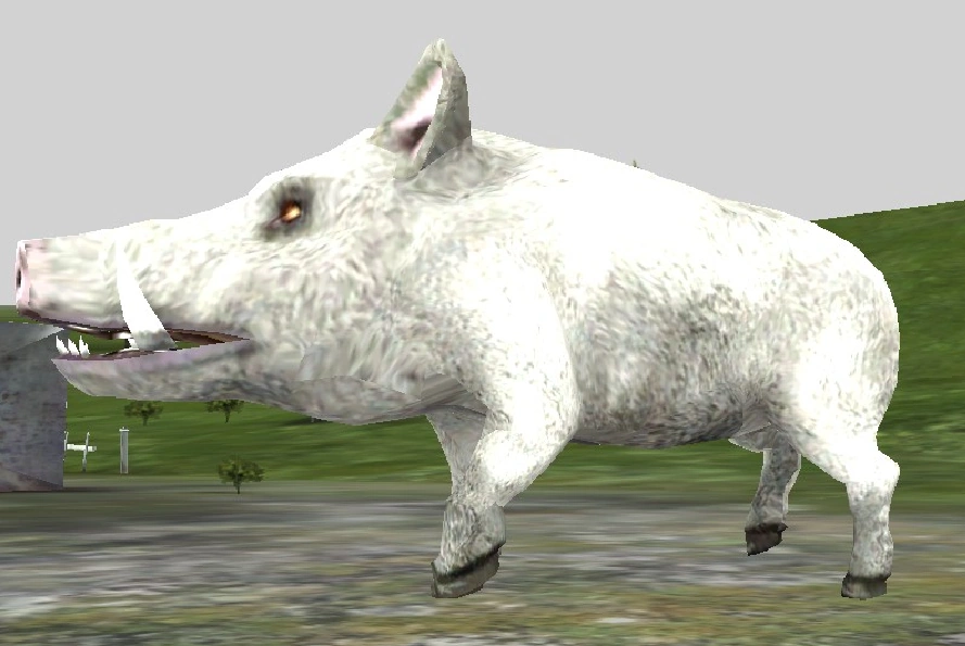 Albino Boar | Blood and Bacon Wikia | Fandom