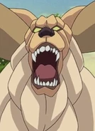 Cerberus | Wiki Blood-C | Fandom