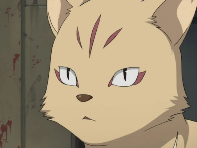 BLOOD-C 02 | Wiki Blood-C | Fandom