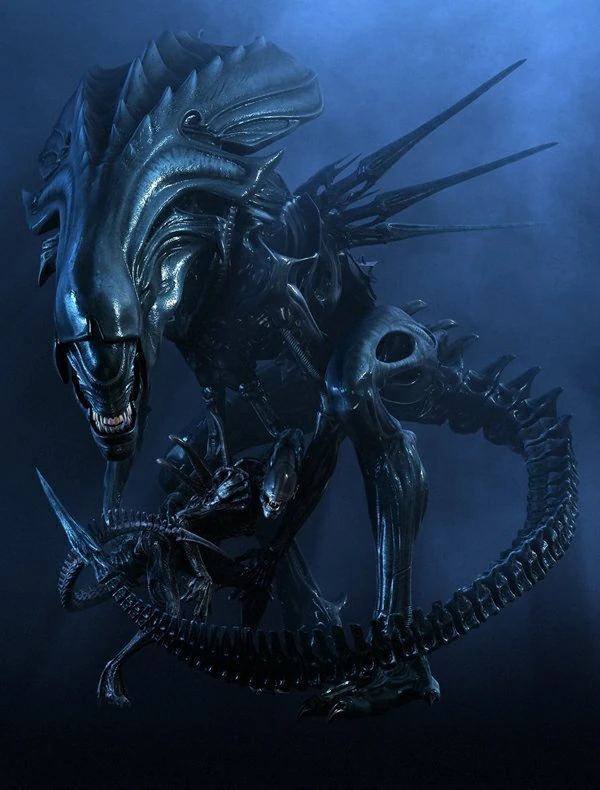 Xenomorph | Of Blood and Honor Wiki | Fandom