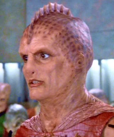 Shissan | Of Blood and Honor Wiki | Fandom