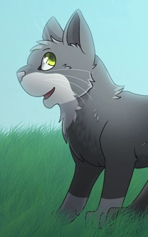 Darkpaw | Blood&Water Wiki | Fandom