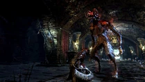Beast-possessed Soul | Bloodborne Wiki | Fandom