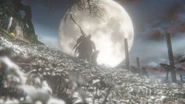 Moon Cycles | Bloodborne Wiki | Fandom