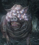 Maneater Boar (Enemy) | Bloodborne Wiki | Fandom