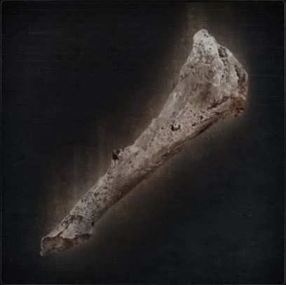 Old Hunter Bone | Bloodborne Wiki | Fandom