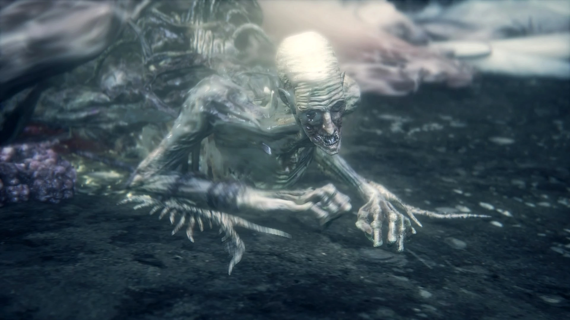 Orphan of kos bloodborne - lasopacy