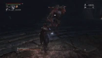 Beast-possessed Soul | Bloodborne Wiki | Fandom