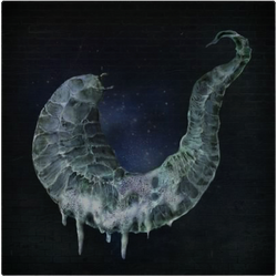 Hunter Tools Bloodborne Wiki Fandom