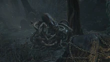 Bosque prohibido | Wiki Bloodborne | Fandom