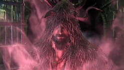 Brador, Church Assassin | Bloodborne Wiki | Fandom