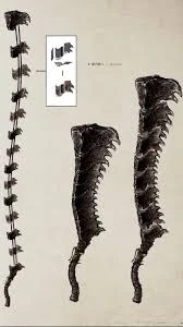 Beast Cutter | Bloodborne Wiki | Fandom