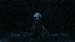 Holy Moonlight Sword | Bloodborne Wiki | Fandom