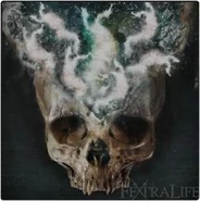 Insight | Bloodborne Wiki | Fandom