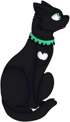 Raven | Bloodclan: The Next Chapter Wiki | Fandom