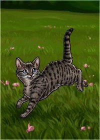 Fernstar | BloodClan Wiki | Fandom