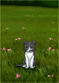 Rushpaw | BloodClan Wiki | Fandom