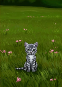 Dovekit | BloodClan Wiki | Fandom