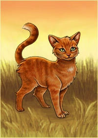 Rowanstar | BloodClan Wiki | Fandom