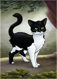 Toadstep | BloodClan Wiki | Fandom