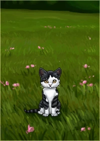 Briarkit | BloodClan Wiki | Fandom