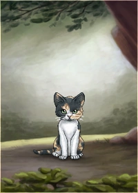 Mapleheart | BloodClan Wiki | Fandom