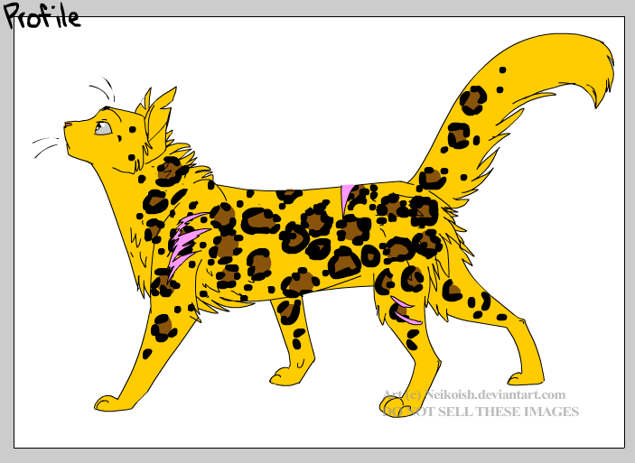 Leopard | BloodClan Wiki | Fandom