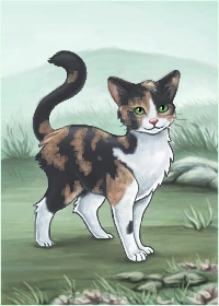 Cherrytail | BloodClan Wiki | Fandom