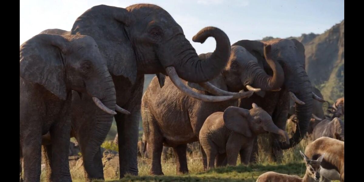 African Savanna Elephant | BloodRayne & Mia, the Vampire Slayer Wiki ...