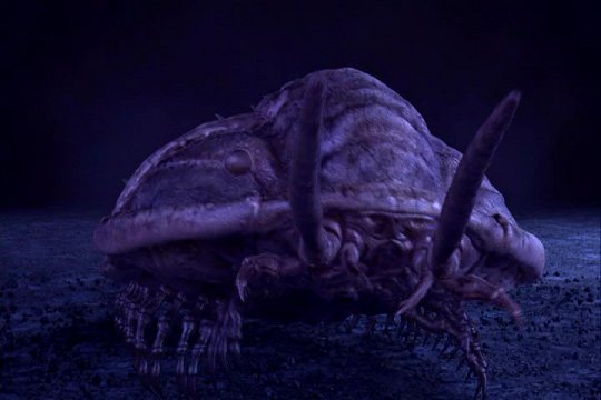 Trilobite | BloodRayne & Mia, the Vampire Slayer Wiki | Fandom Trilobite | BloodRayne & Mia, the Vampire Slayer Wiki | Fandom