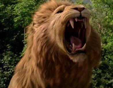 American Lion | BloodRayne & Mia, the Vampire Slayer Wiki | Fandom