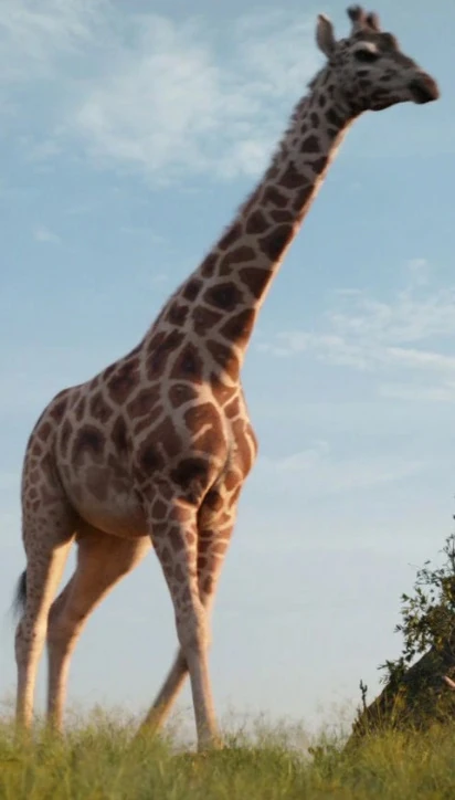 Vampire Giraffe