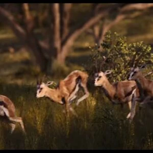 European Gazelle | BloodRayne & Mia, the Vampire Slayer Wiki | Fandom