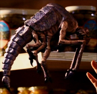 Giant Fly | BloodRayne & Mia, the Vampire Slayer Wiki | Fandom