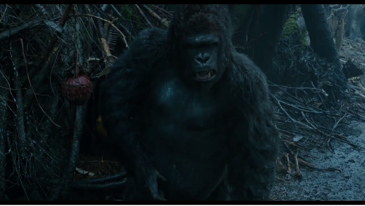 Western Gorilla | BloodRayne & Mia, the Vampire Slayer Wiki | Fandom Western Gorilla | BloodRayne & Mia, the Vampire Slayer Wiki | Fandom