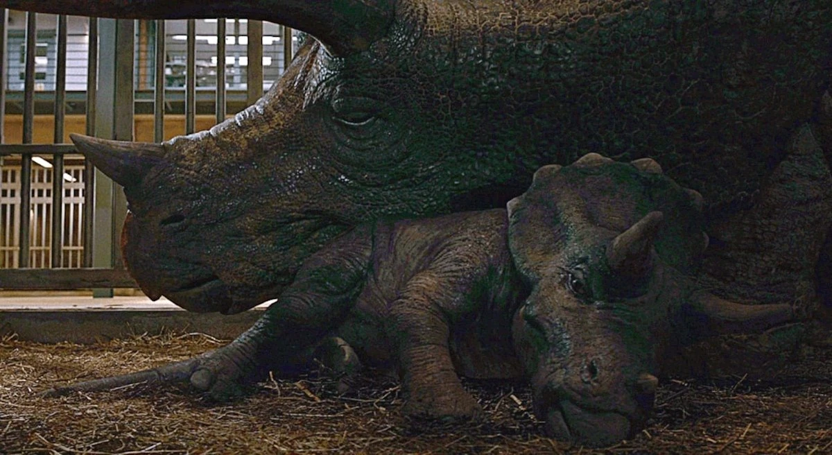 Cera | BloodRayne & Mia, the Vampire Slayer Wiki | Fandom