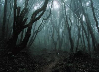 Purgatory | BloodRayne & Mia, the Vampire Slayer Wiki | Fandom